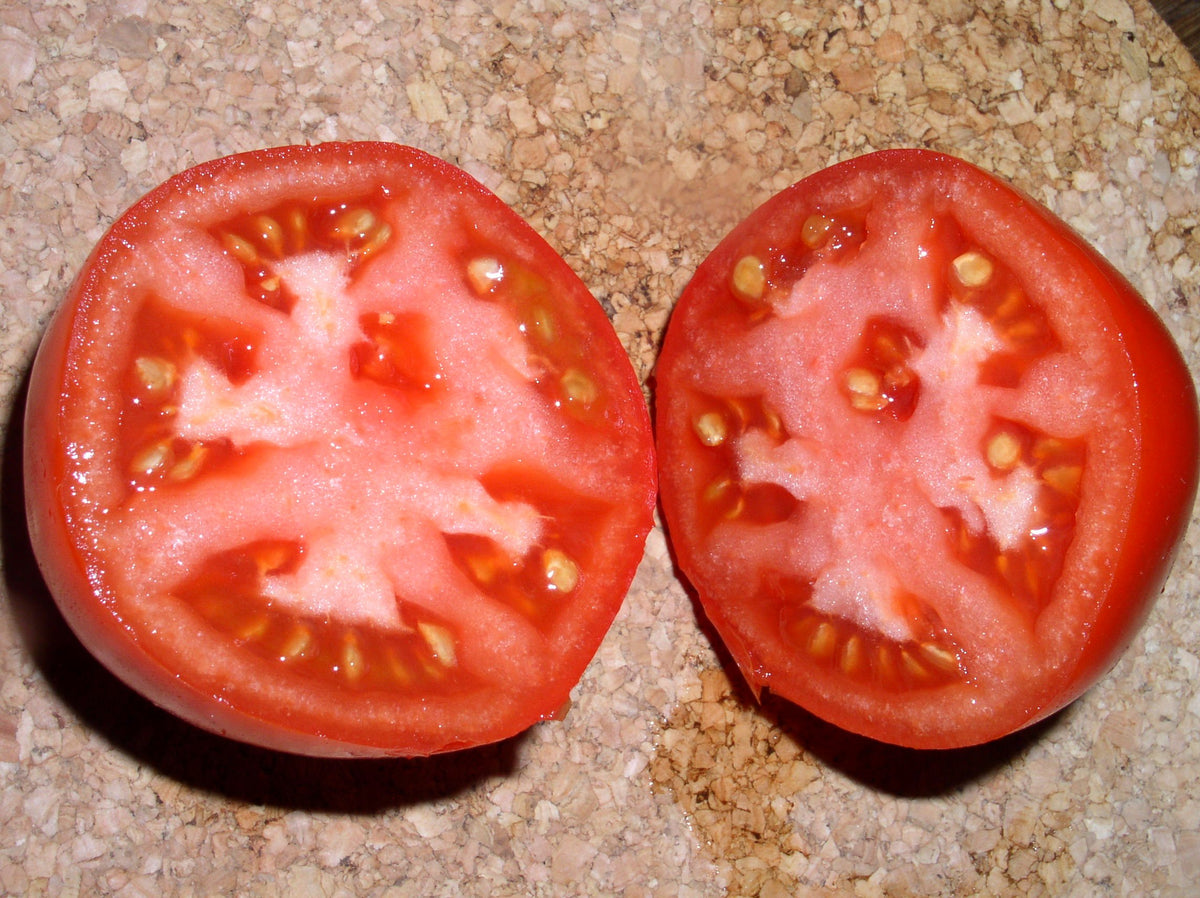 -0281- ﻿„Italia Giant Plum“ – michestomatenvielfalt.com